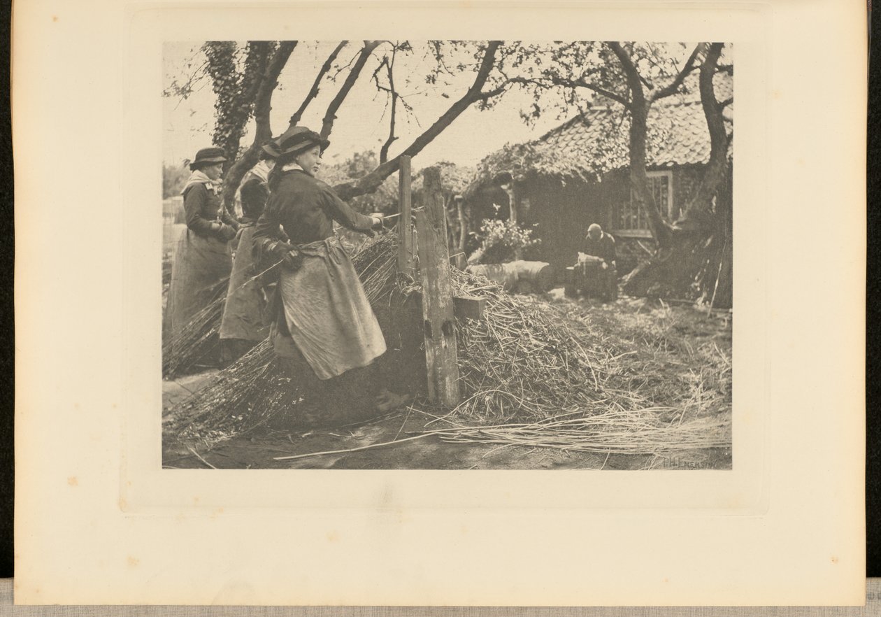 Osier-Peeling. [Norfolk] by Peter Henry Emerson