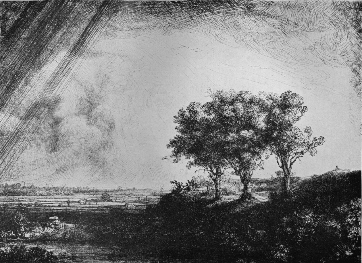 Davinci Tree Etching Print