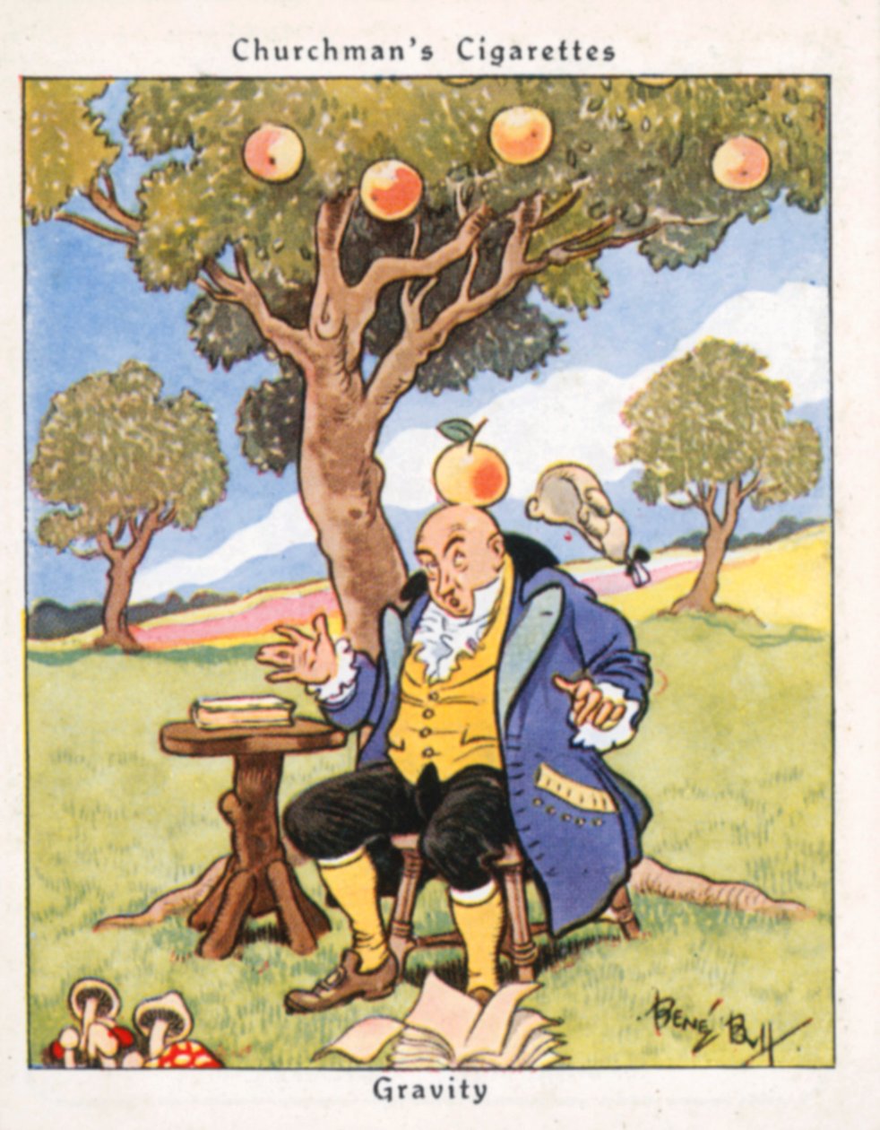 Gravity by René Bull: Highest-quality art reproduction