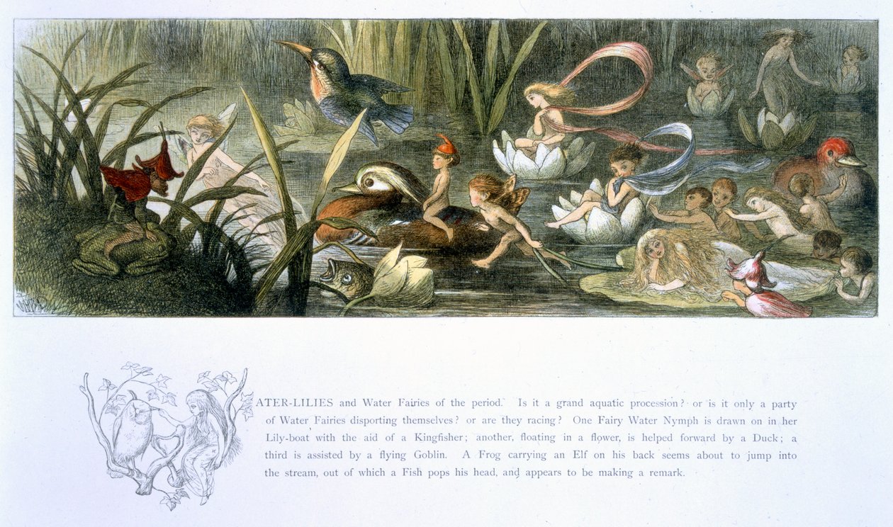 Water-Lilies and Water Fairies, Illustration from 'In Fairyland: A ...