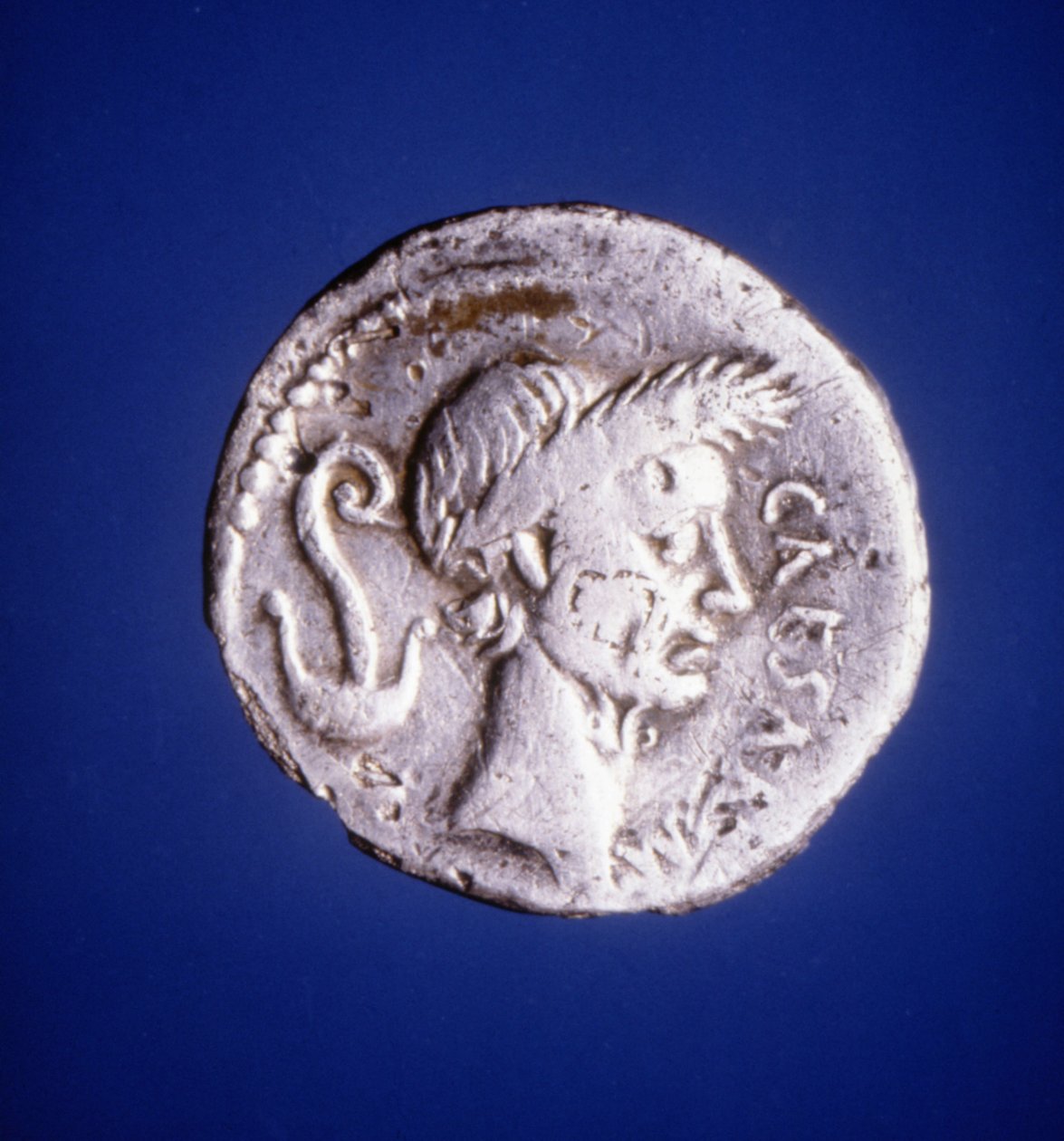 Julius Caesar - Roman coin by Roman: Buy fine art print