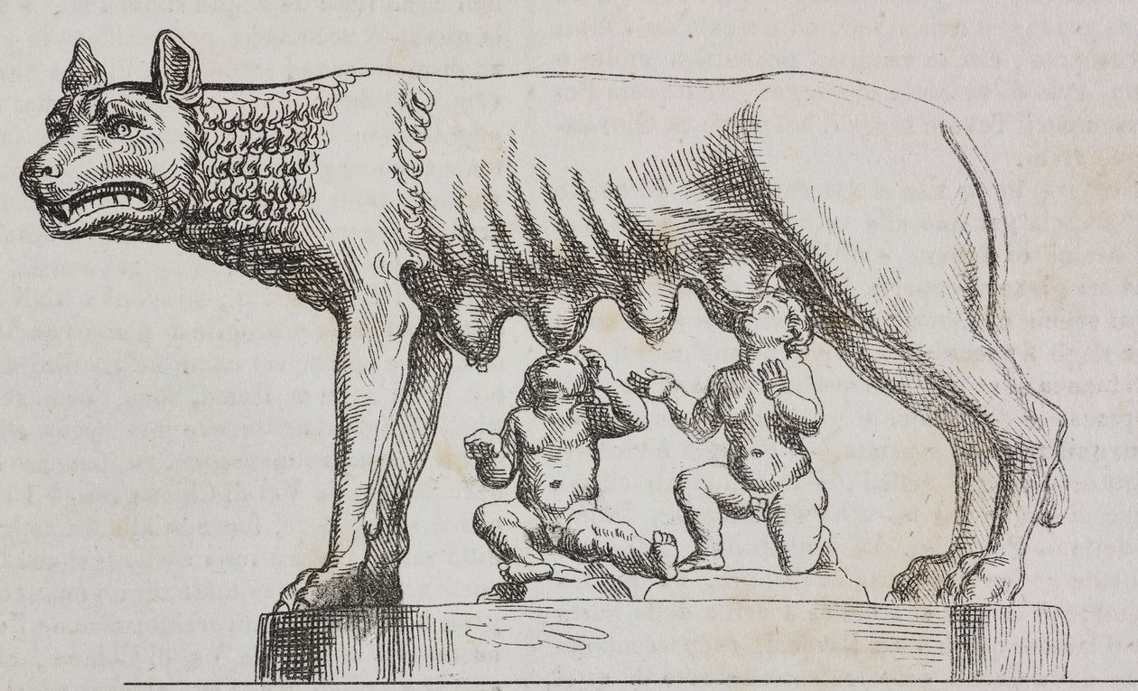 She Wolf Of The Capitol