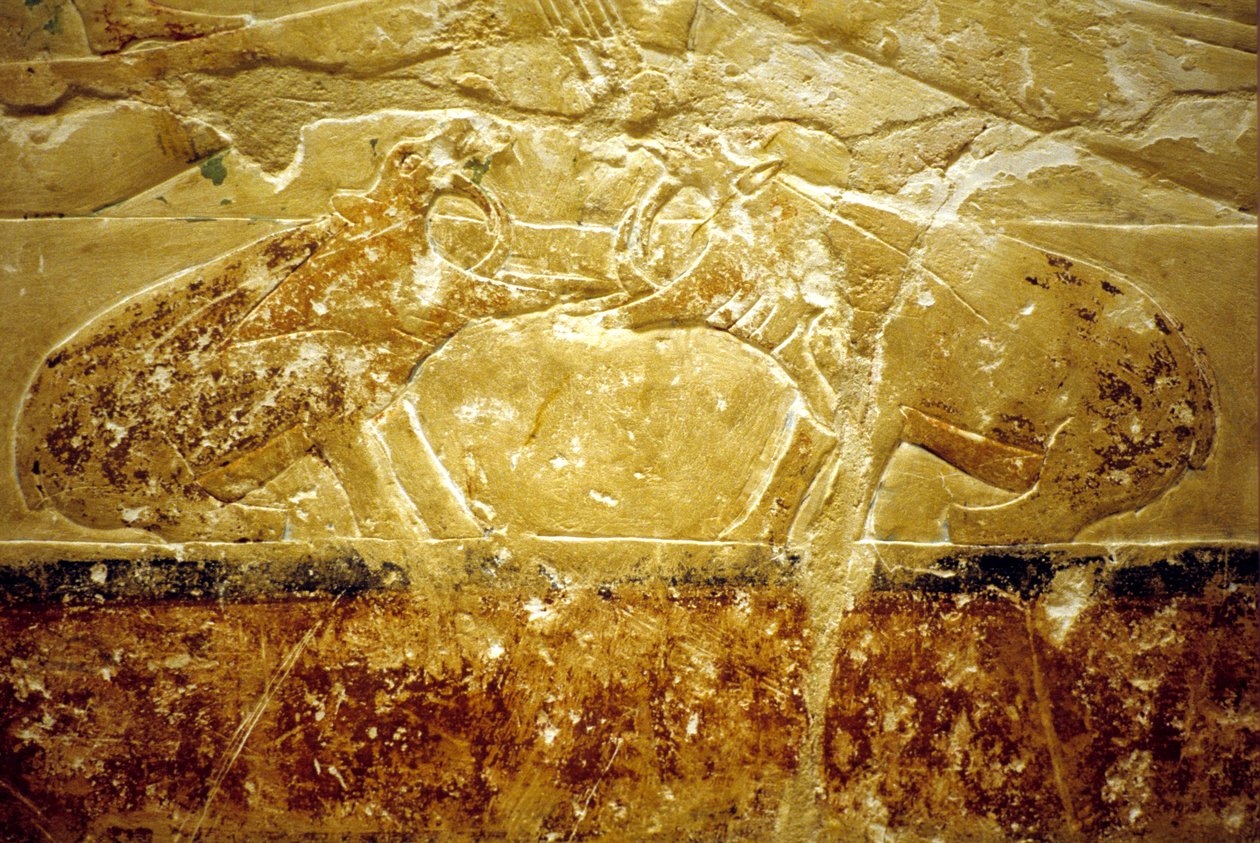 Ancient Egypt, Wall Carving/Painting, Mastaba/Tomb of Idout, Saqqara ...