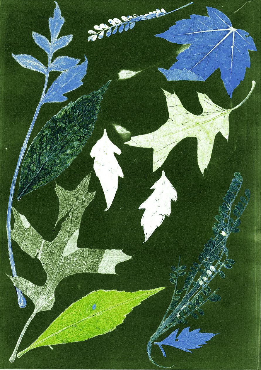 Jol X green by Stephen Dow: Highest-quality art reproduction