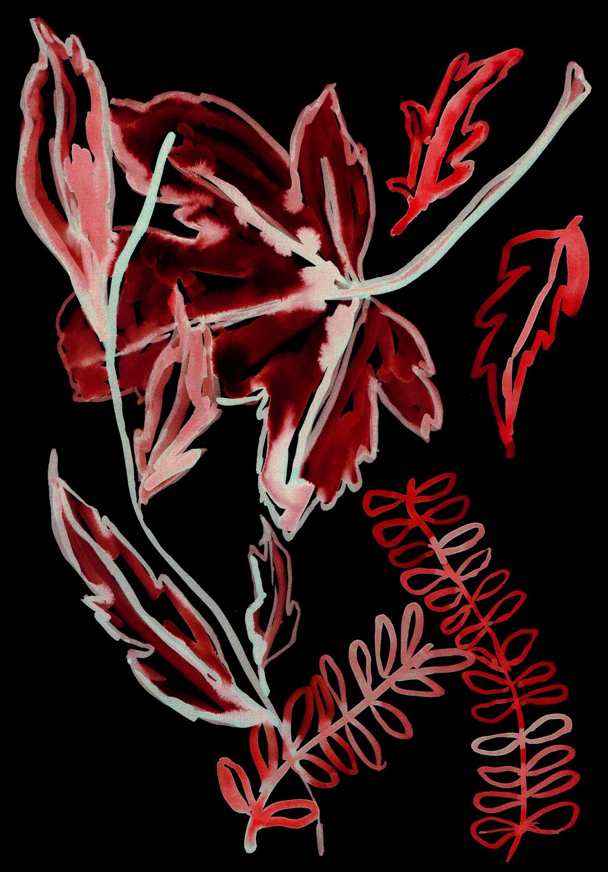 Night Flora I by Stephen Dow: Buy fine art print