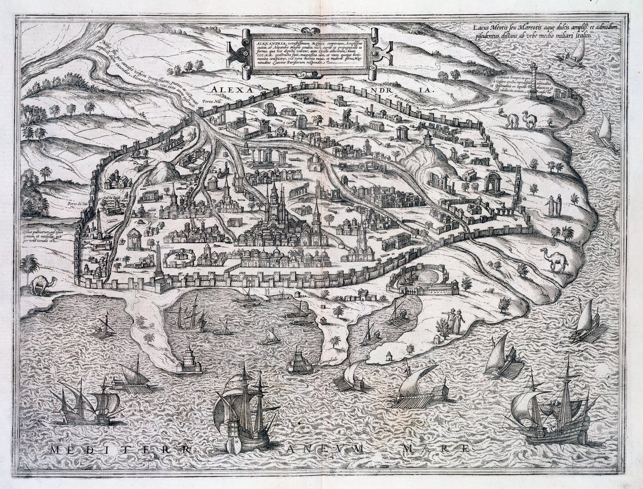 Map of Alexandria, Egypt by Unbekannt: Buy fine art print
