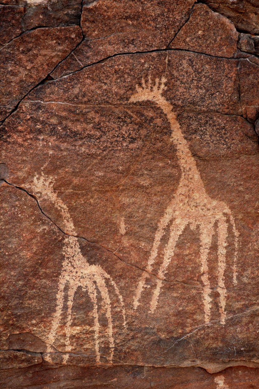 Rock art, Prehistory: Detail of an engraving of giraffes in the Uweinat ...