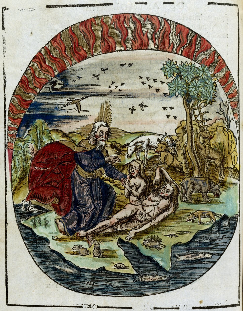 The Birth of Eve 16th Century: God Creating Eve from Adam's Rib in the ...