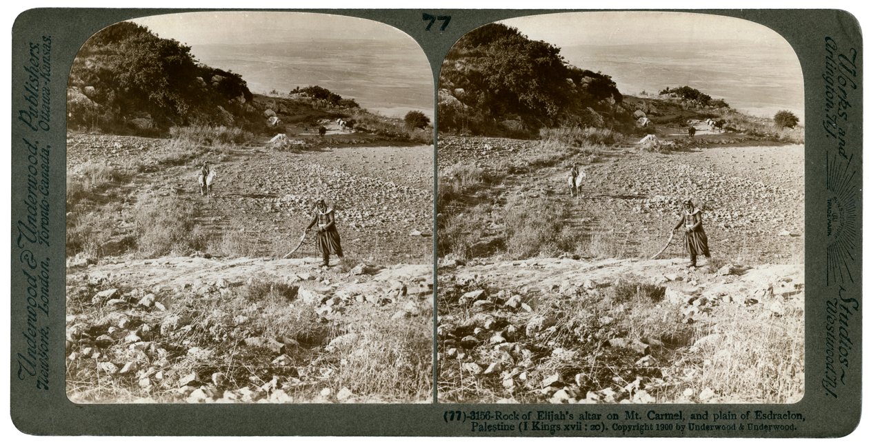 The rock of Elijah's Altar on Mount Carmel, and the Plain of Esdraelon ...