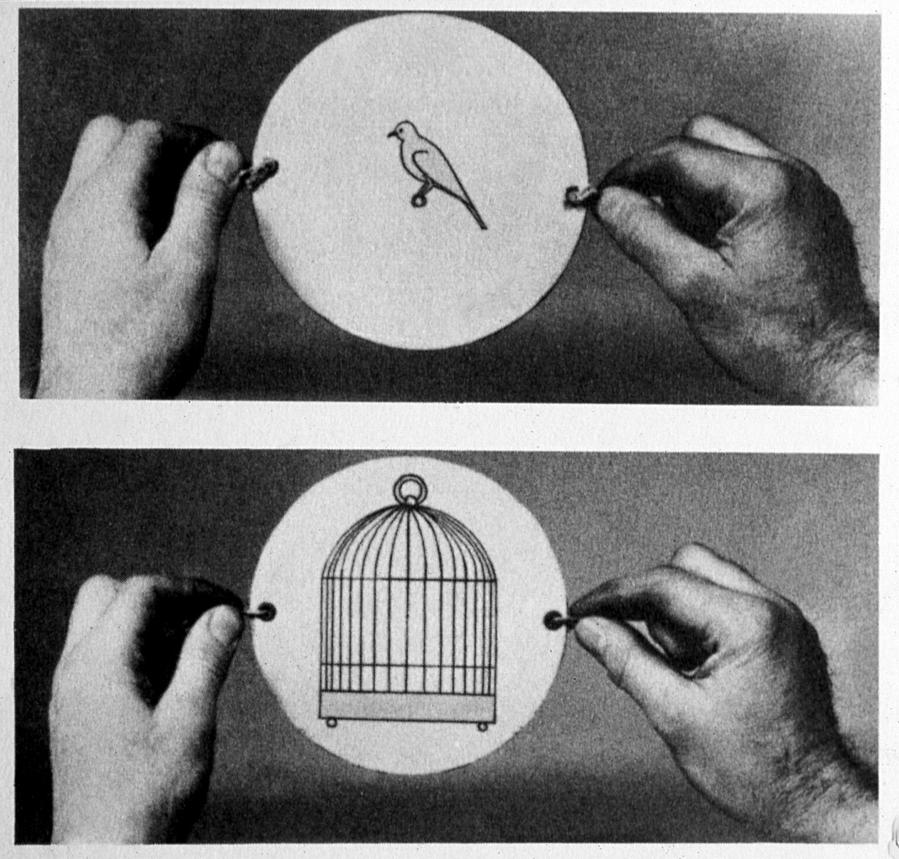 Thaumatrope: In 1825 John Ayrton Paris Marketed His Magic Disc the ...