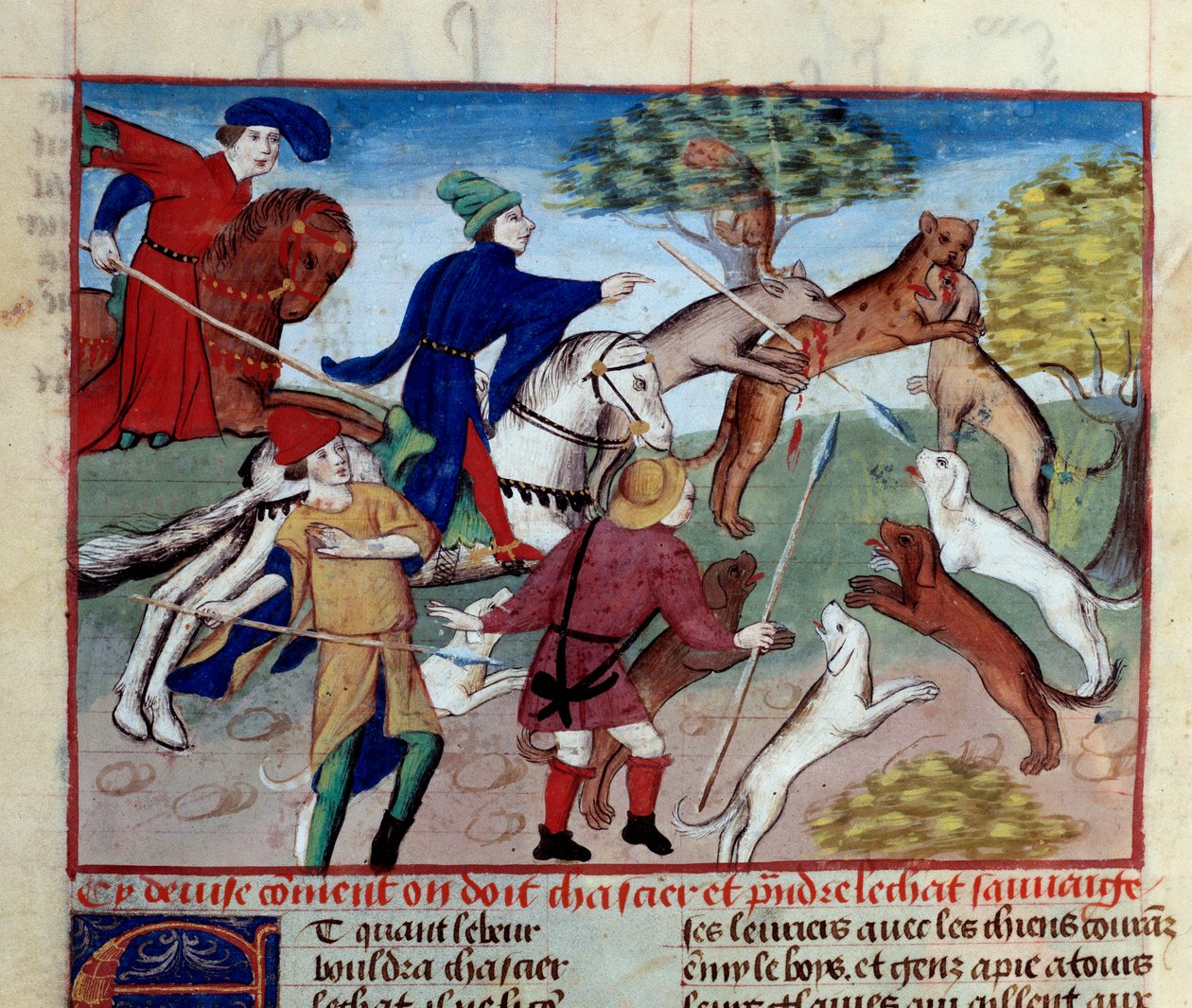 The Hunt for Wild Cat (Miniature from 'The Book of Hunting' by Gaston ...