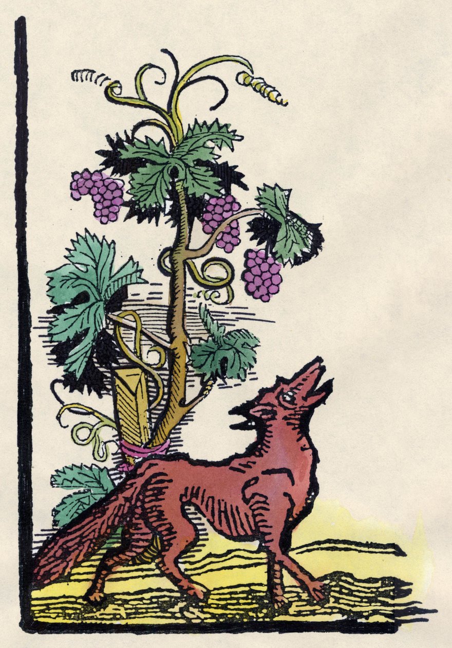 The Fox and the Grapes. Fable of Aesop (18th Century Engraving)