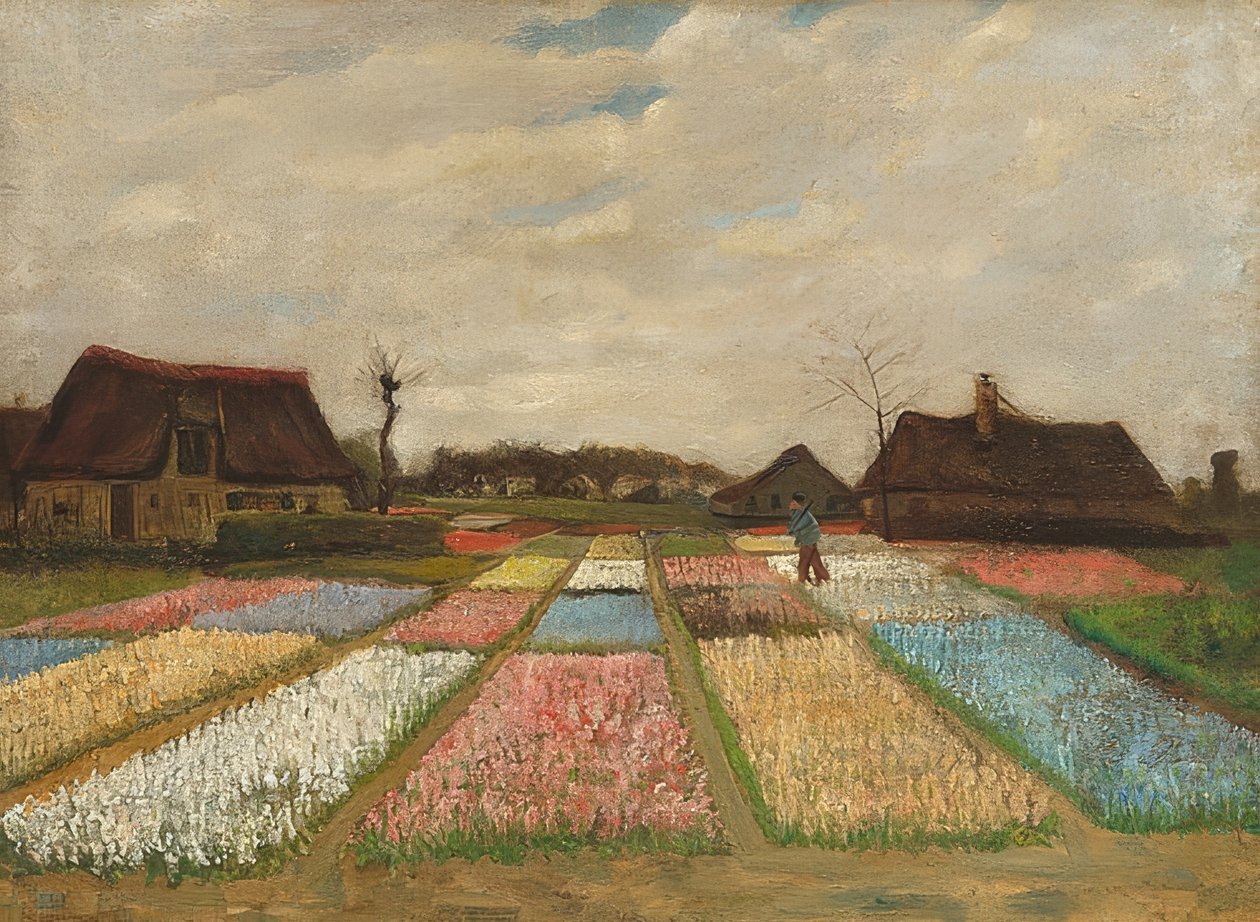 Blumenbeete In Holland