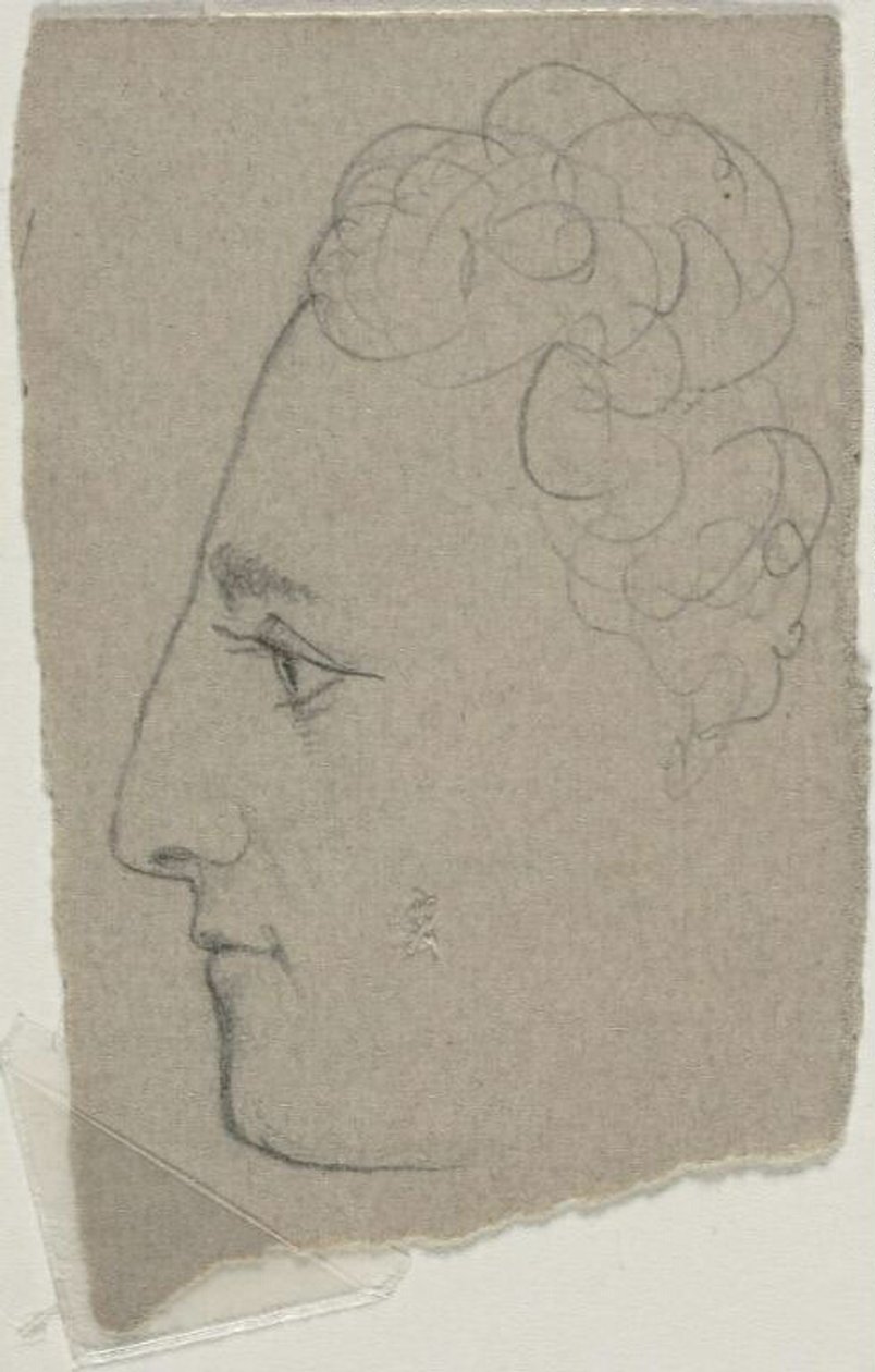 Profile Sketch by William Michael Harnett: Fine art print