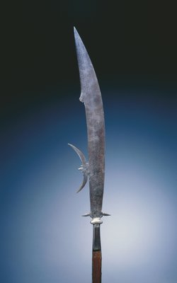 Glaive Weapon