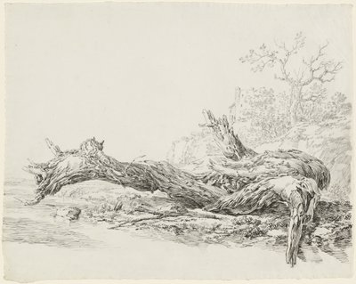 fallen tree trunk drawing