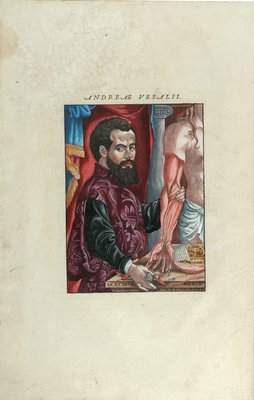 Andreas Vesalius Portrait