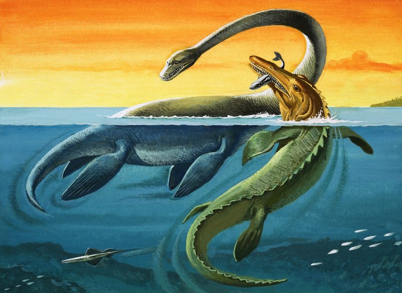 Prehistoric Marine Life Poster